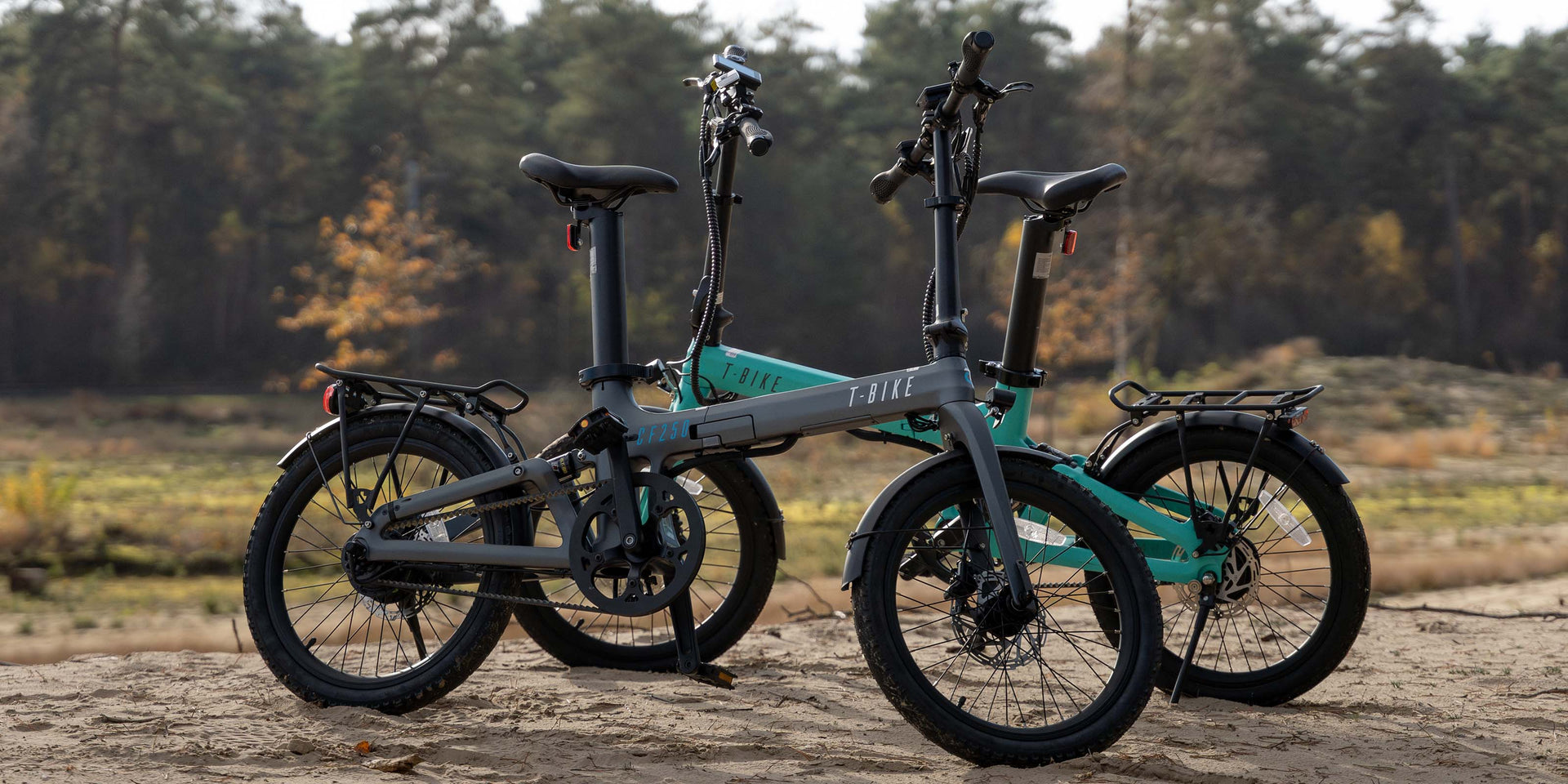 T-Bike